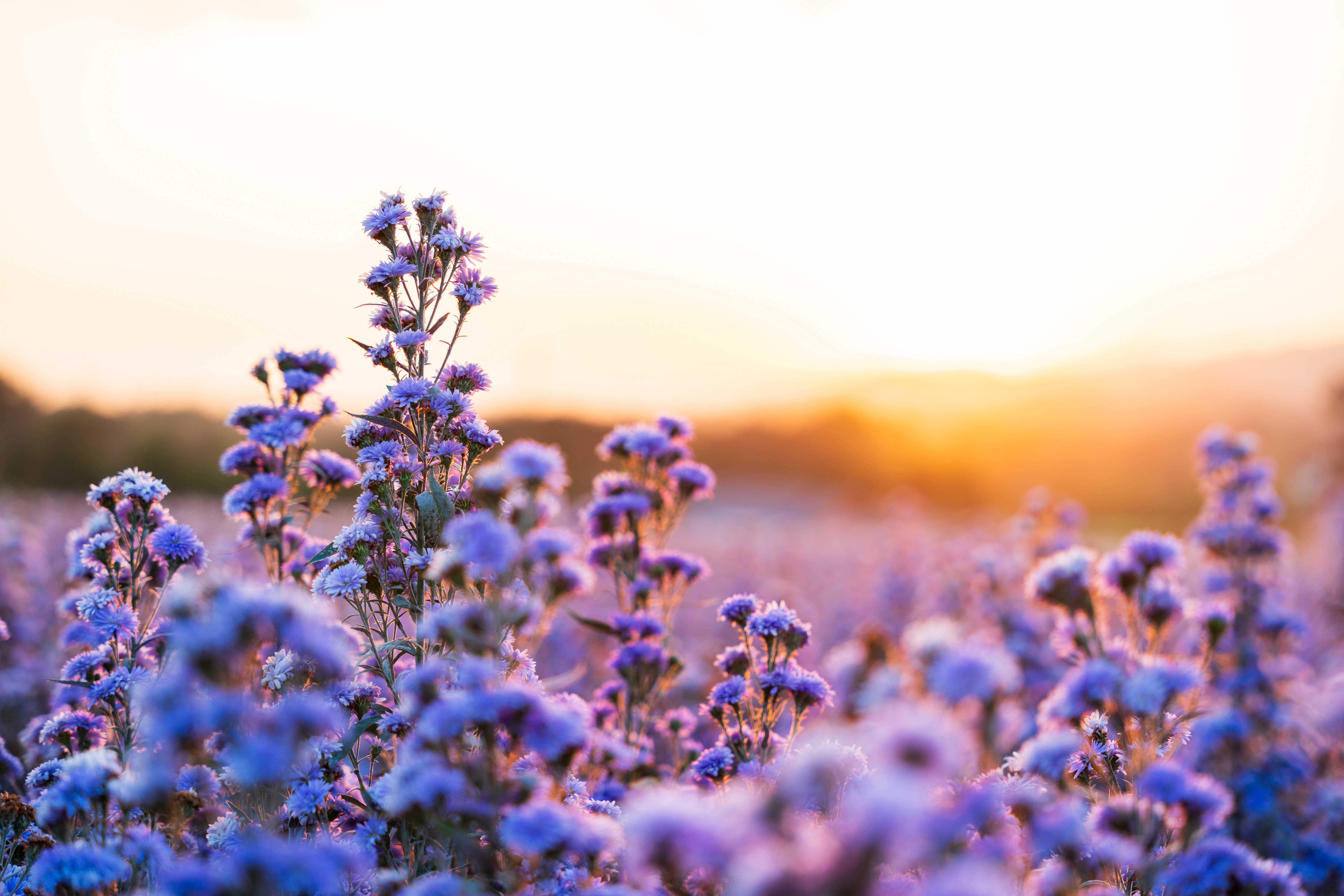 JP Holley Funeral Home and Crematory